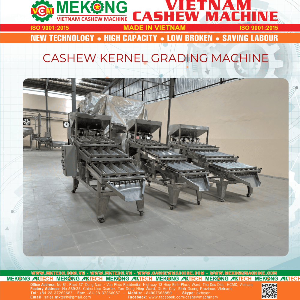 The Advancements in Cashew Nut Processing Machinery